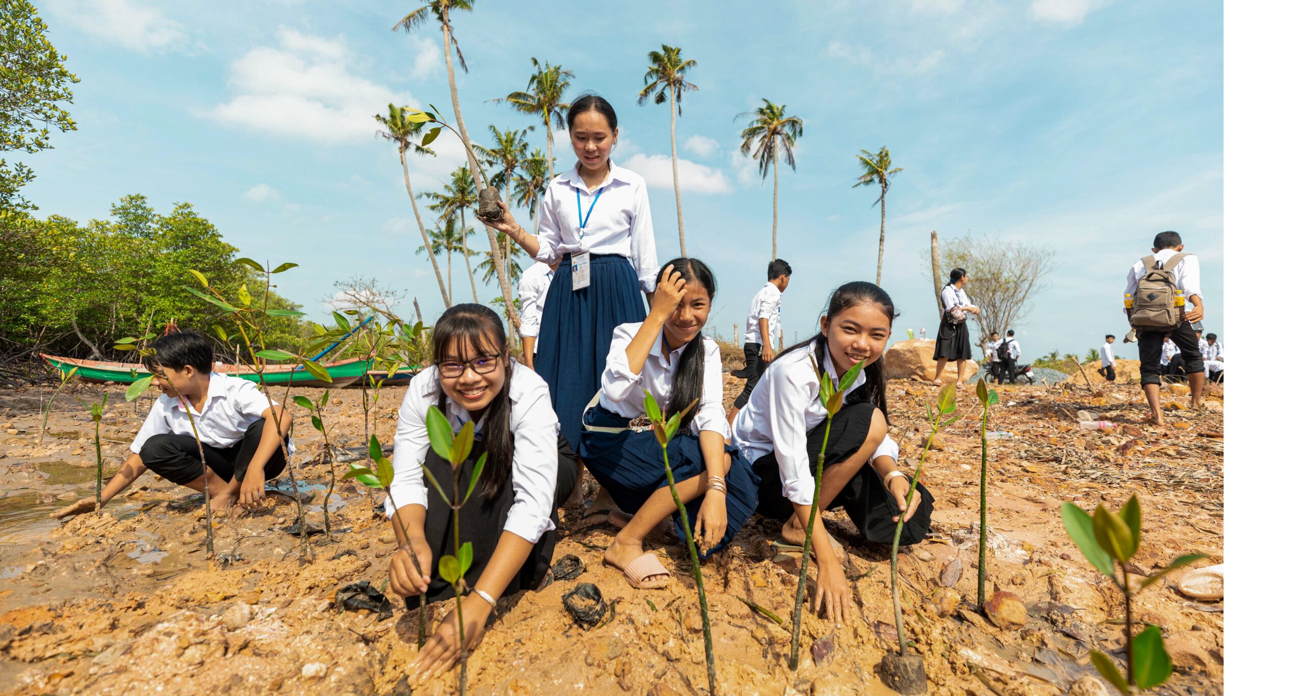 Restoring land to combat climate change and degradation | SDG Action