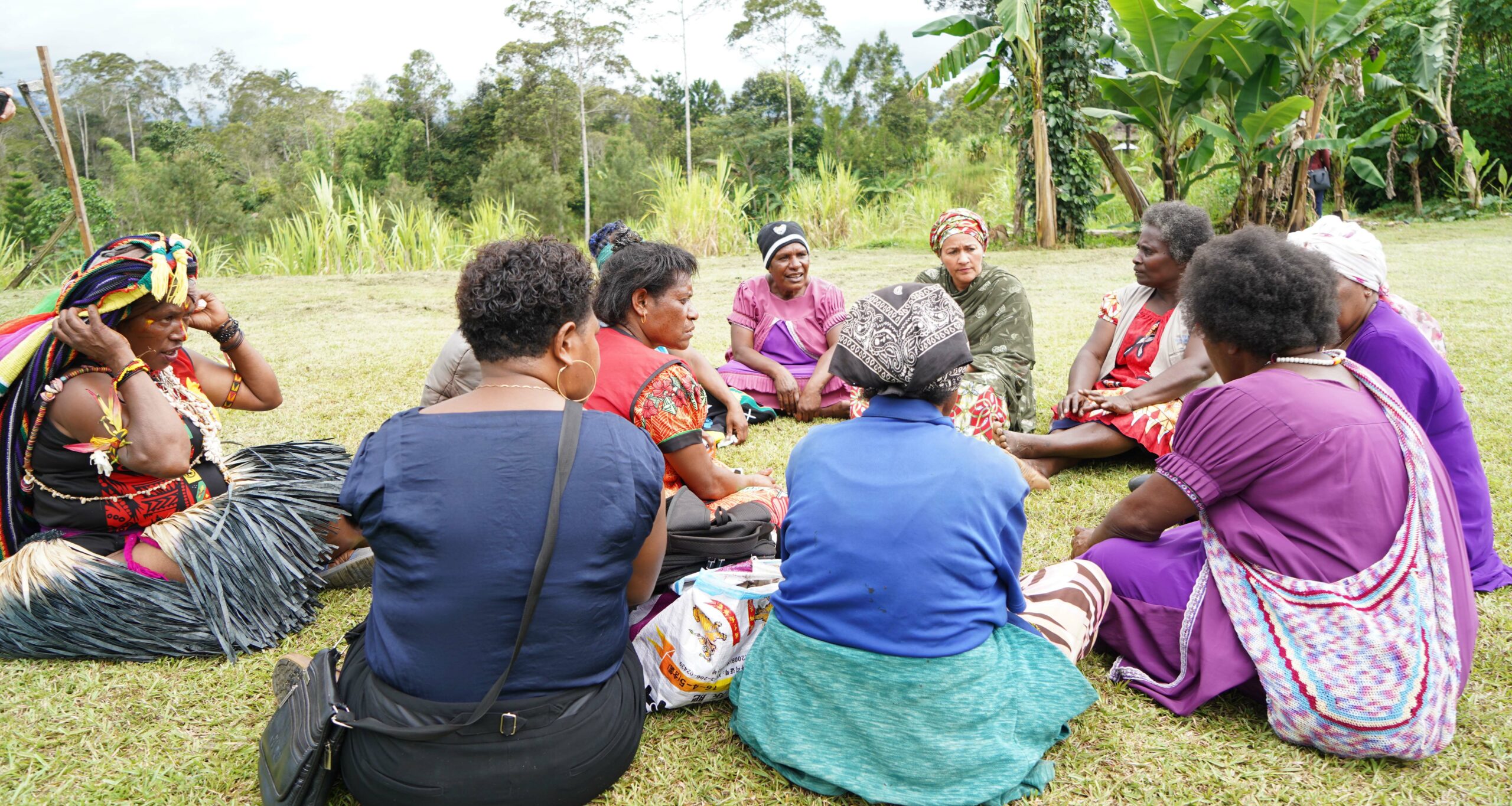 Healing people and planet in the wake of COVID-19 | SDG Action