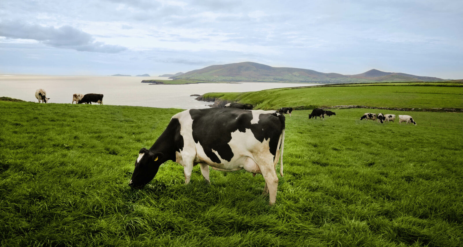 Farming for the future | SDG Action