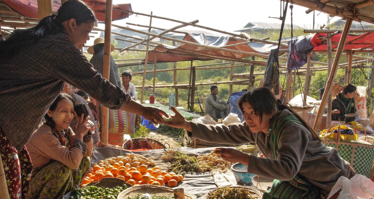 Tackling poverty and hunger within planetary boundaries | SDG Action