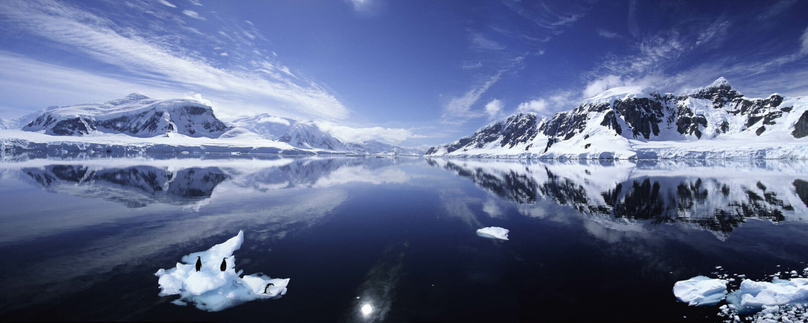 A new trustee for the global commons | SDG Action