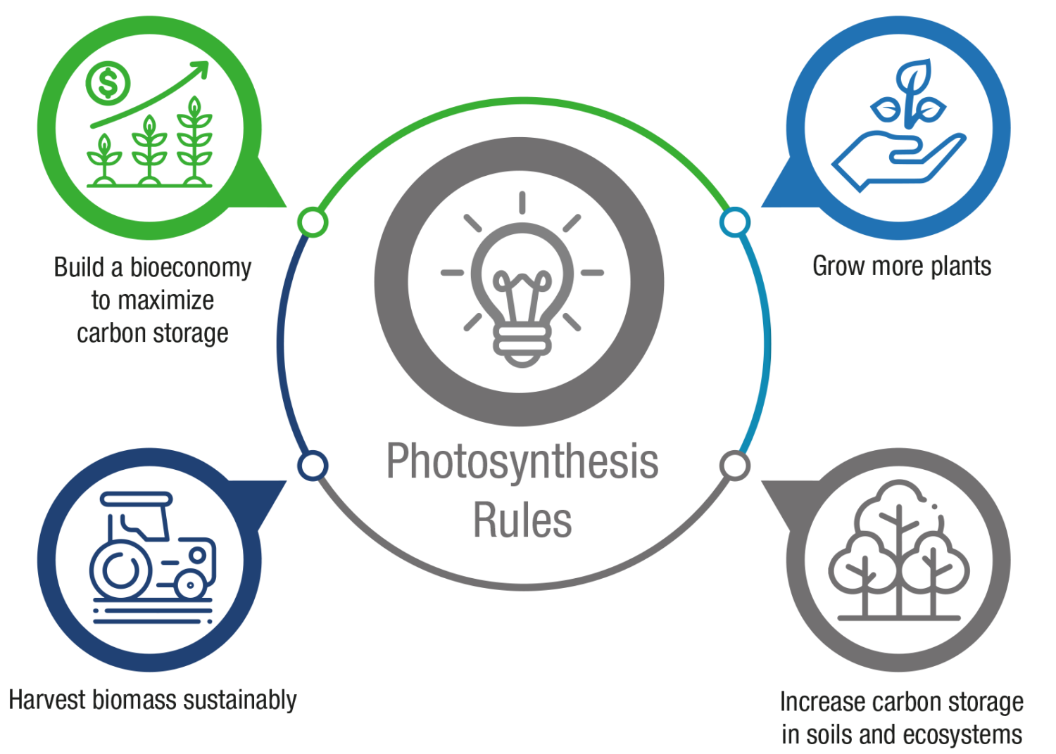 Harnessing the power of photosynthesis for negative emissions | SDG Action