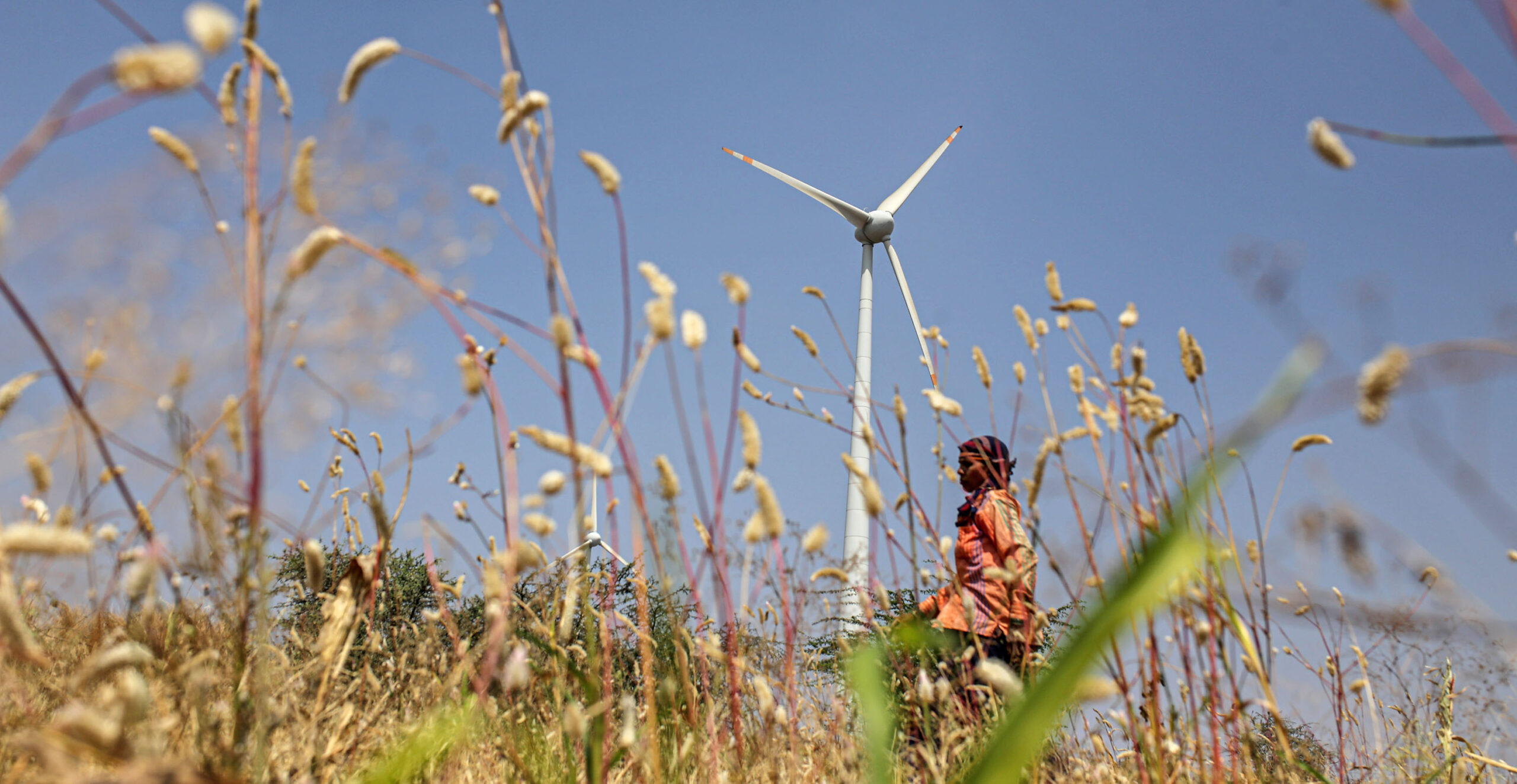 Only eight years left to reset priorities for a climate-safe future ...