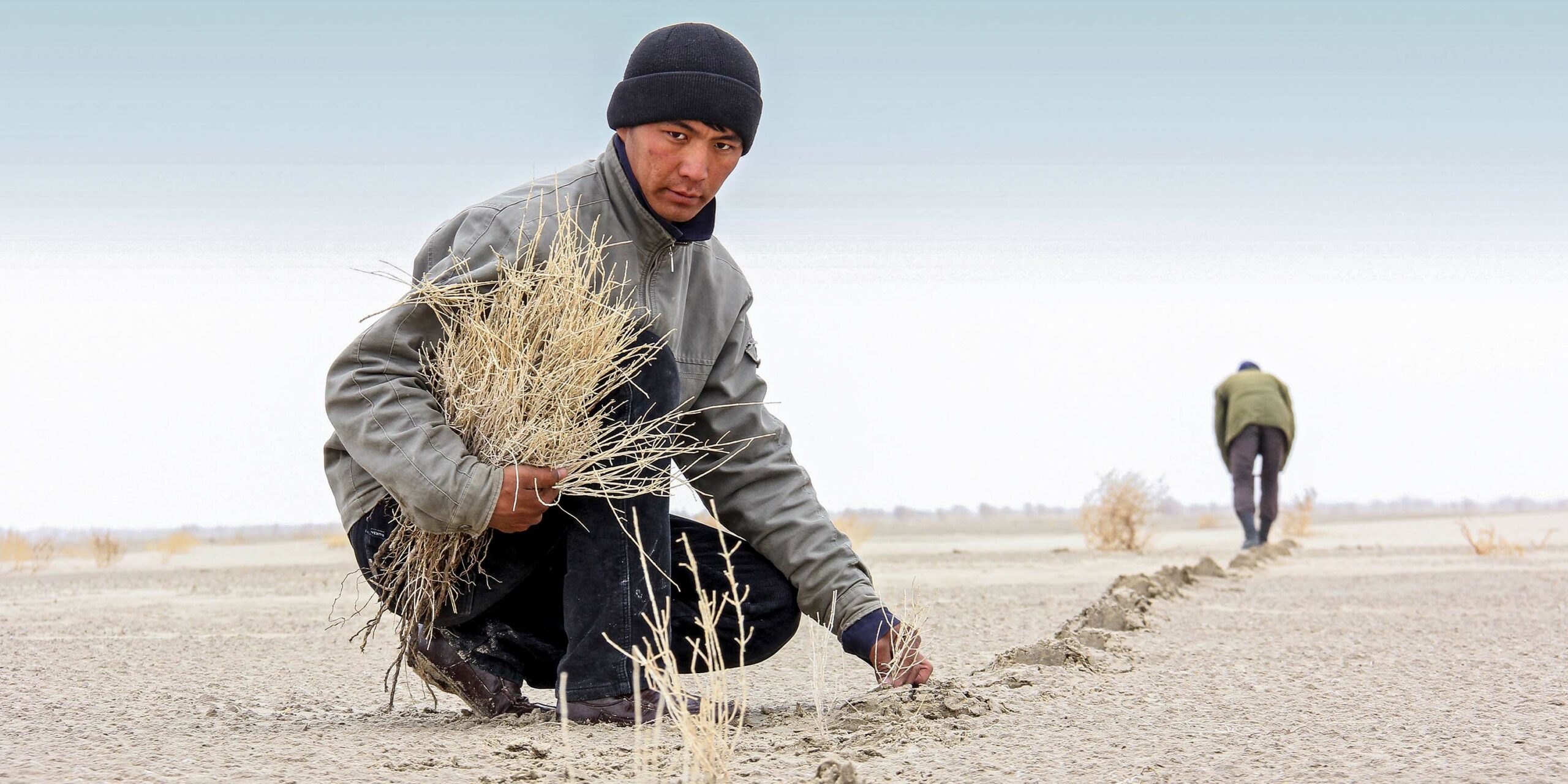 Land: from degradation to restoration | SDG Action