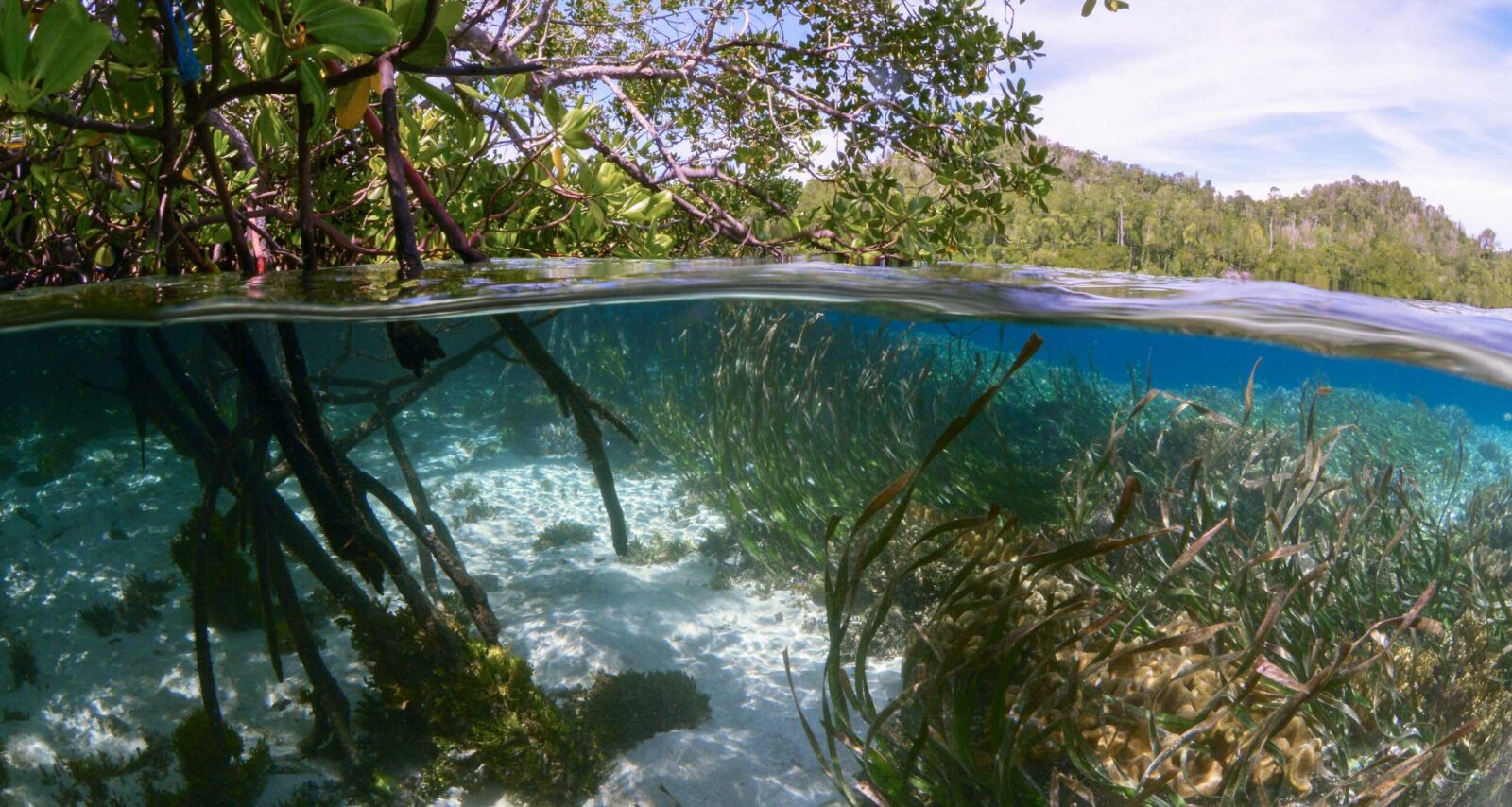 Why ocean action is the litmus test for sustainable development | SDG ...
